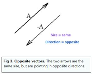 Forces 5 1 1 Scalar And Vector Quantities GCSE Physics AQA Study Mind