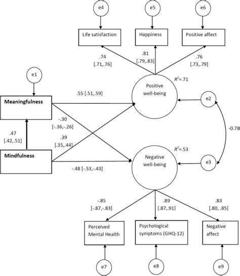Structural Equation Model Representing The Relationships Among