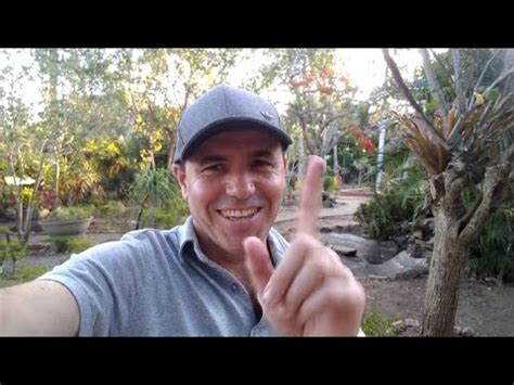 FAÇA ISSO E MUDE SUA VIDA VIVA ZERO ESTRESSE YouTube