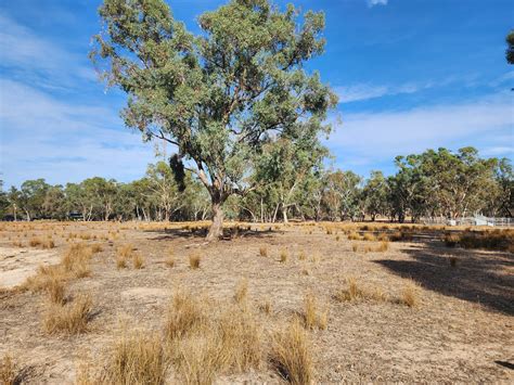 Rural Properties For Sale In Vic