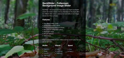 Backslider Fullscreen Background Image Slider By Flgravity Codecanyon