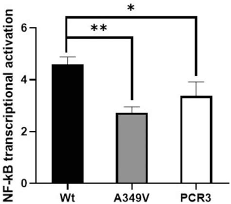 A Novel Eda1 Missense Mutation In X Linked Hypohidrotic Ectodermal Dysplasia Pmc