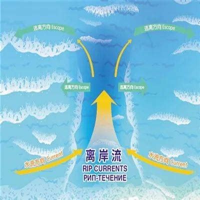 国庆假期去海边玩要警惕这个隐形杀手 广西