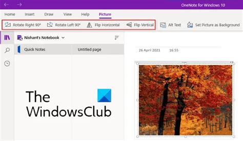 how to rotate and crop a picture in onenote