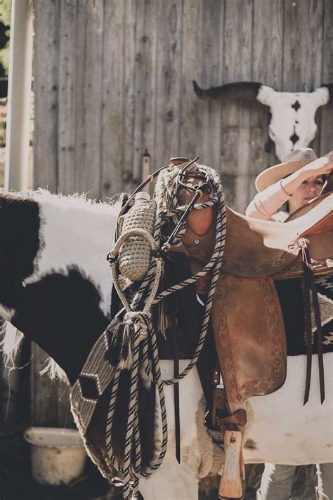Westernfreiheit Für Fortgeschrittene Reiter Stonehill Ranch