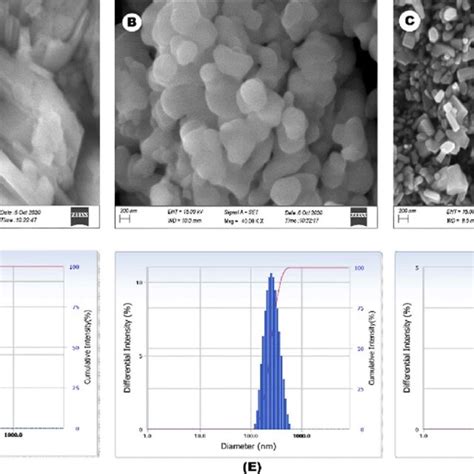 Sem Image Of A Csnp B Csnp Sio 2 Nc And C Csnp Sio 2 Zno Nc And The Download Scientific
