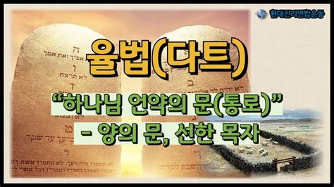율법다트 하나님 언약의 문통로” 양의 문 선한 목자 Youtube