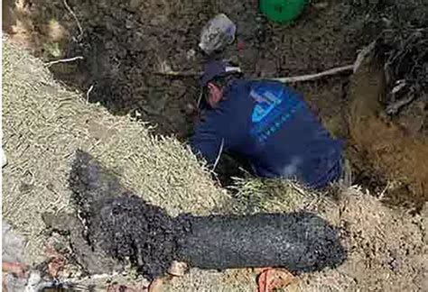 How To Identify And Remove Tree Roots Around Sewer Pipes Plumbing Plumbing Blog Article By