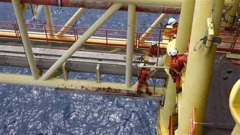 Scaffolding Erection Working At Height Stock Video Pond