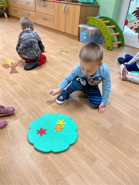 Motýlci Třídí Lístky MŠ Duhová Habartov