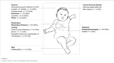Pdf Placental Weights Of Neonates Born With Symptomatic Congenital