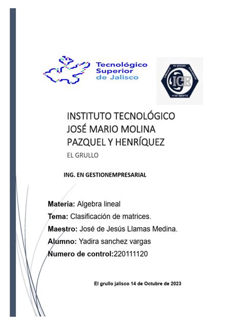 Clasificación De Matrices Pdf
