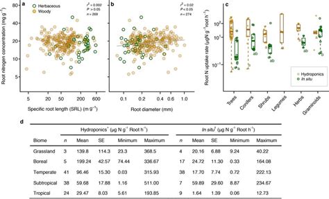 Root Nitrogen Concentration And Root Nitrogen Uptake Rate A There Is Download Scientific