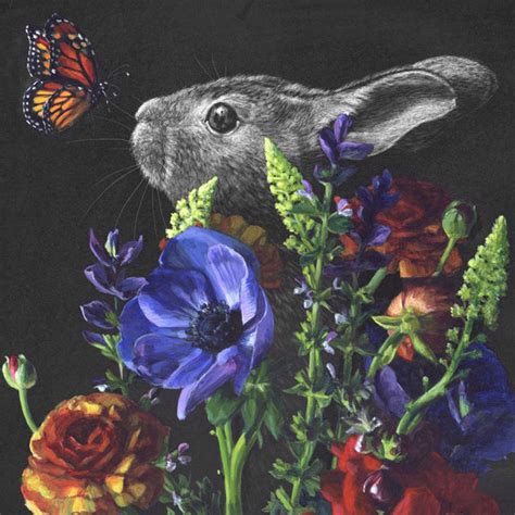 Summersoft Altitude Gallery