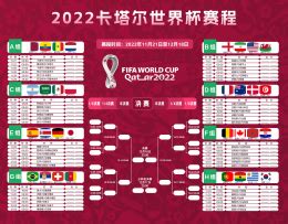 2022卡塔尔世界杯