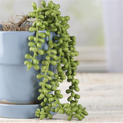 Trailing Artificial Donkey Tail Succulent Pick Artificial Greenery