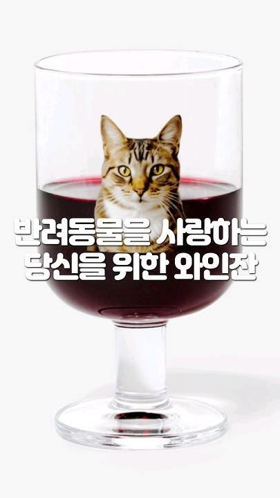 강아지 고양이 와인잔 주문제작 Youtube