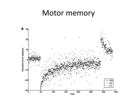Ppt Motor System Basics Powerpoint Presentation Free Download Id