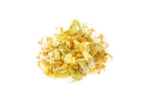 배경에 마른 허브와 베리 차의 구색 약용 치유 허브 대체 의학 개념 린든 금송화 수레 국화 금잔화 Tansy 차 Rosedry 허브 0명에 대한 스톡 사진 및 기타 이미지