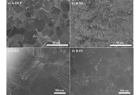 Microstructures Of The Two Alloys After Heat Treatments At Different