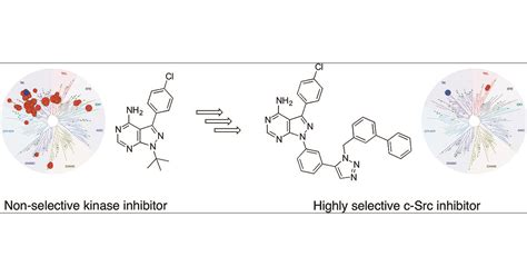 Development Of A Highly Selective C Src Kinase Inhibitor Acs Chemical Biology