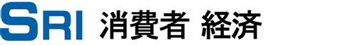 消費税 使い道 わかりやすく解説 使われ方を､一覧表グラフで簡単解説 消費者経済総研のプレスリリース