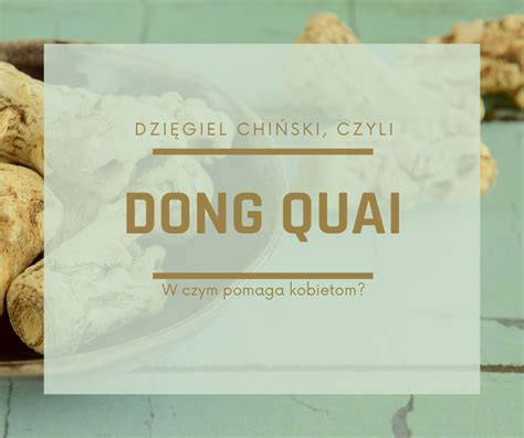 Dzi Giel Chi Ski Blog Evital Pl