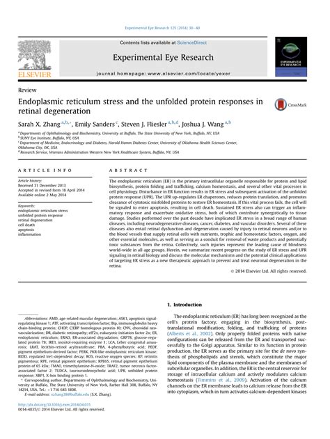 Pdf Endoplasmic Reticulum Stress And The Unfolded Protein Responses