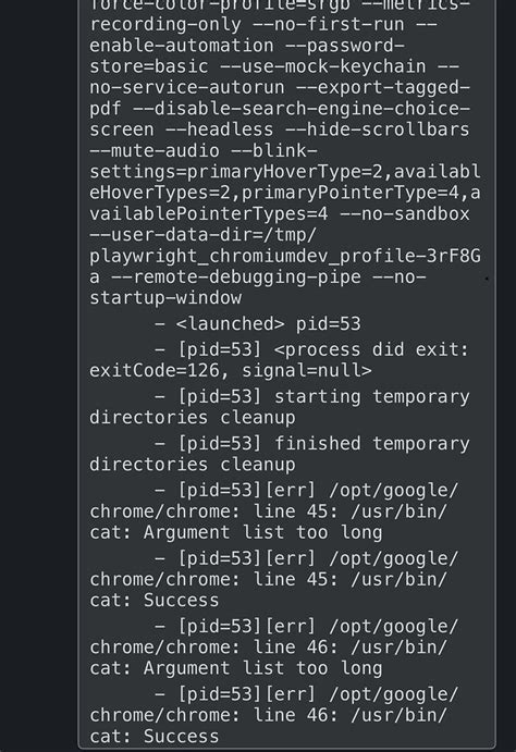 Ash Usrbindu Argument List Too Long Imaginative Minds