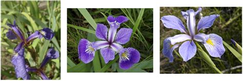 Machine Learning Sklearn Big Data Madison Slides