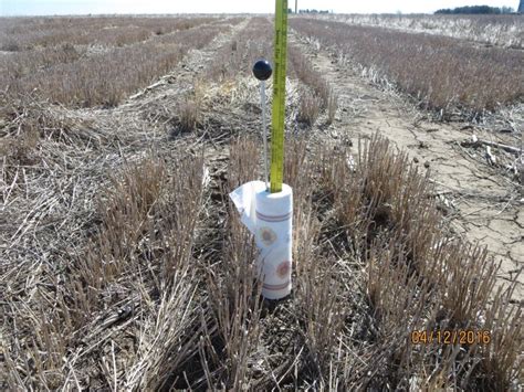 The Value Of Wheat In A Crop Rotation Cropwatch Nebraska