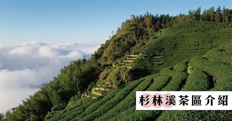 茶百科 鶴茗茶業 Heming Tea｜用心做好茶 ‧ 自然是好茶