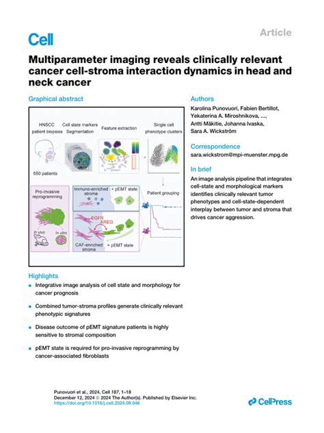 Multiparameter Imaging Reveals Clinically Relevant Cancer Cell Stroma