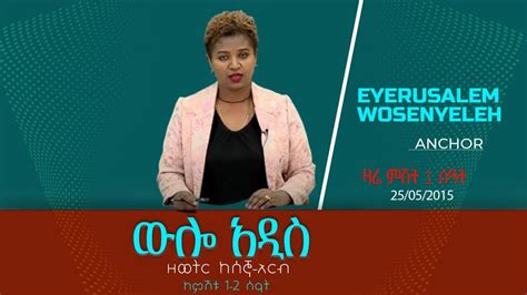 ውሎ አዲስ አዲስ ሚዲያ ኔትዎርክ ጥር 25 2015 ዓ ም የምሽት 1፡00 ዜና Youtube
