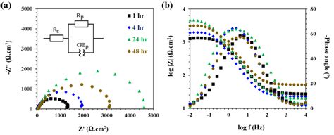 Nyquist A And Bode B Plots Of Mild Steel Panels 1 Cm 2 Exposed