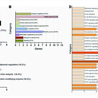 Gene Ontology Enrichment Analysis By PANTHER For The 15 Genes