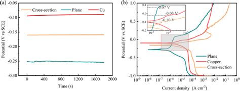 A Ocp Vs Time And B Polarization Curves Of The Cross Section And Download Scientific