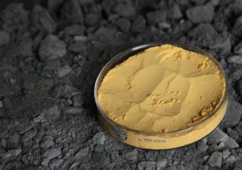 The Uranium Hoax That Triggered The Iraq War