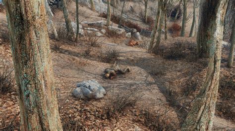 This 4 8gb 4k Hd Texture Pack For Fallout 4 Overhauls All Of The Games