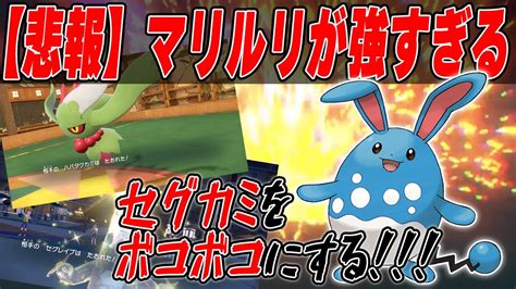 他のポケモンの動画撮りたかったのにマリルリさんが撮れ高泥棒する【ポケモンsv】 Pokémon Charts