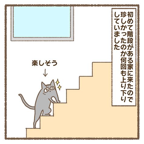 あん三郎との出会い〜猫3匹とお引越し〜③ │ 真鍋はまのねこまんが