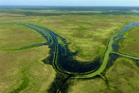 World Class NT Coastal Floodplain Property Makes 49m Beef Central