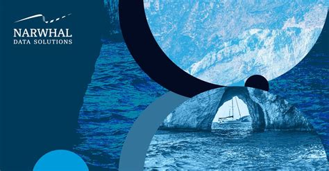 Narwhal Data Solutions Gmbh On Linkedin Startup Bi Data Analytics