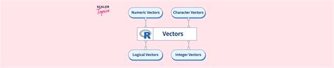 R Vectors Scaler Topics