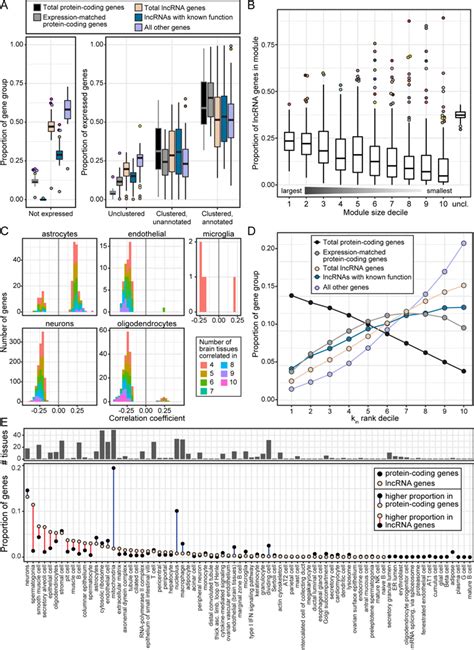 Population Scale Tissue Transcriptomics Maps Long Non Coding Rnas To