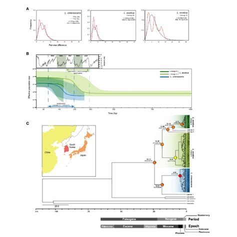 Mismatch Distribution Analyses MMD Bayesian Skyline Plots BSPs