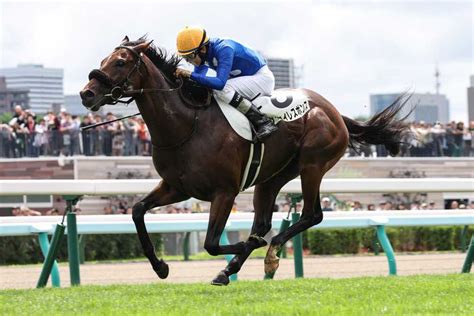 【2歳未勝利・札幌1r】タイセイレスポンスが激しい追い比べ制し初勝利！ サンスポzbat
