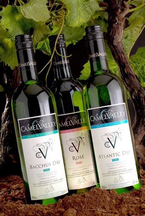 Camel Valley Vineyard 6