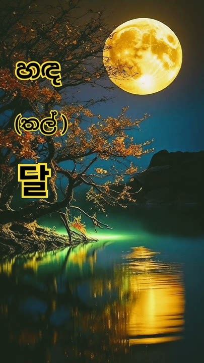හඳ කොරියන් බසින් Youtube
