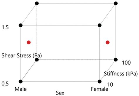 Sex Specific Response To Combinations Of Shear Stress And Substrate